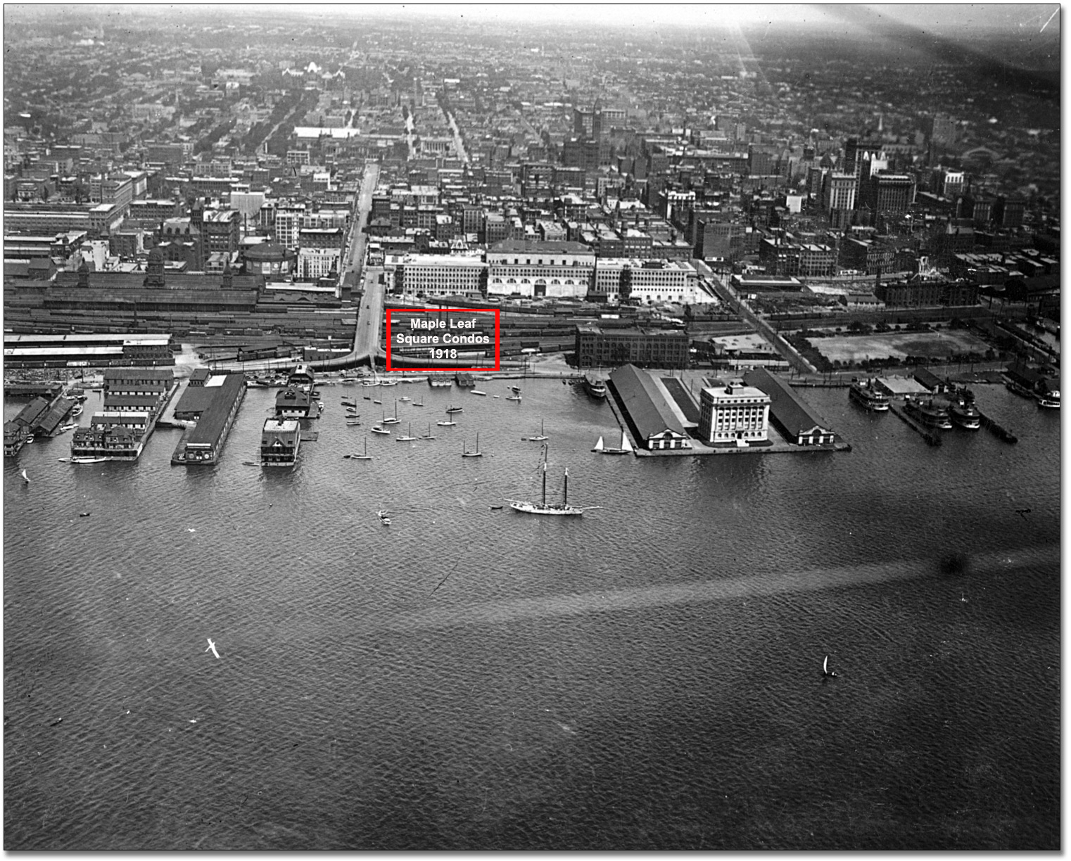 Maple Leaf Square Condos Location